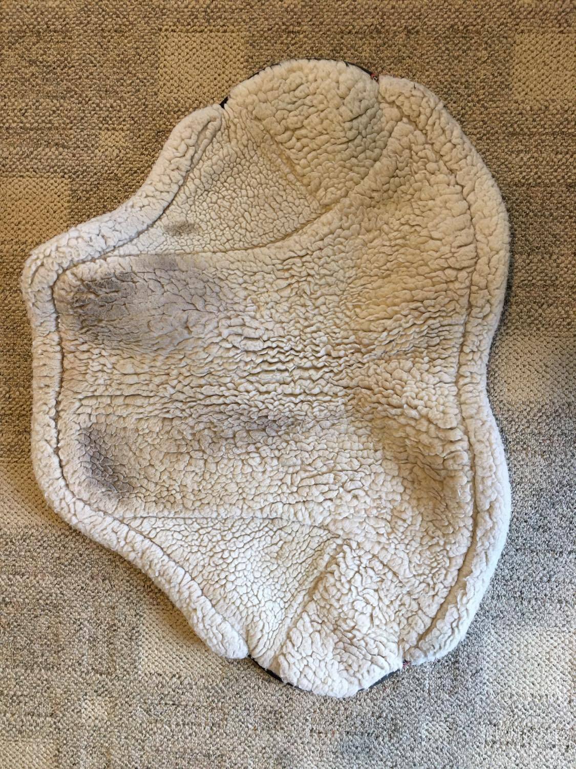 Toklat T3 Matrix Pad - Sport Cut - Woolback - Used | ReactorPanel ...